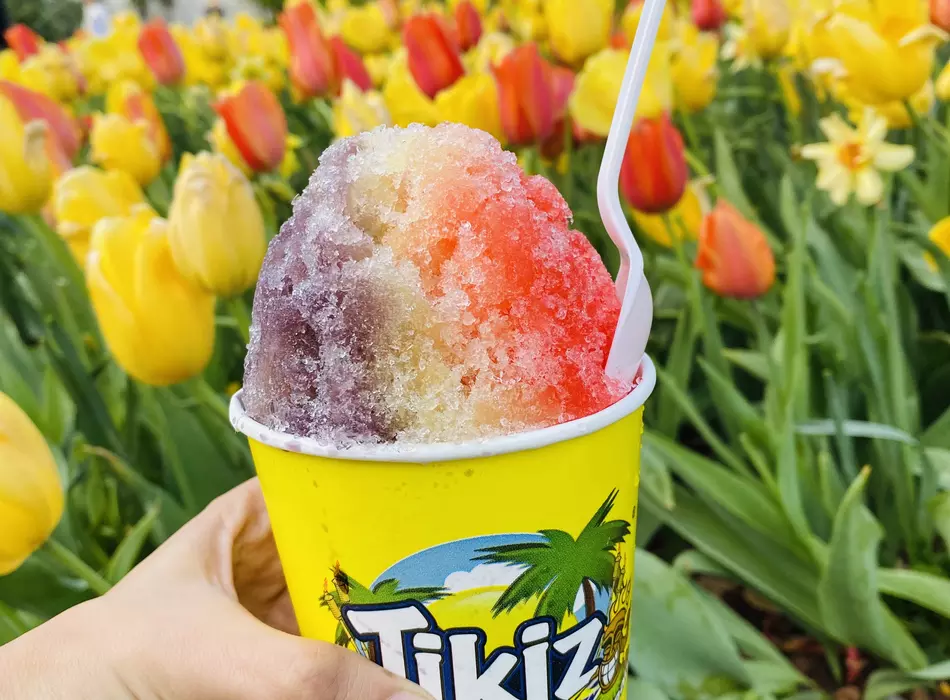 Tikiz Shaved Ice and Ice Cream - North Texas | Food Trucks In | Dallas TX